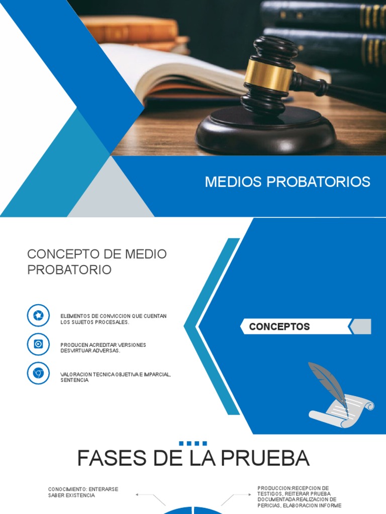 Medios Probatorios | PDF