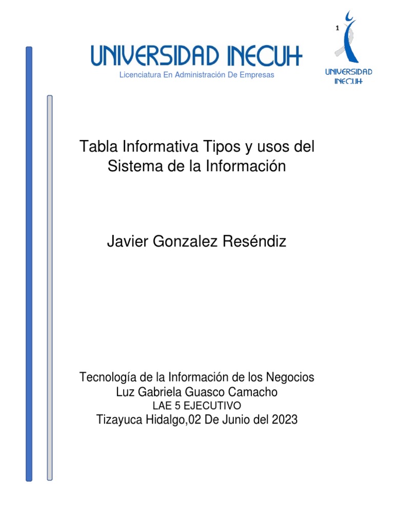 Tabla Informativa Tipos y Usos Del Sistema de La Información | PDF