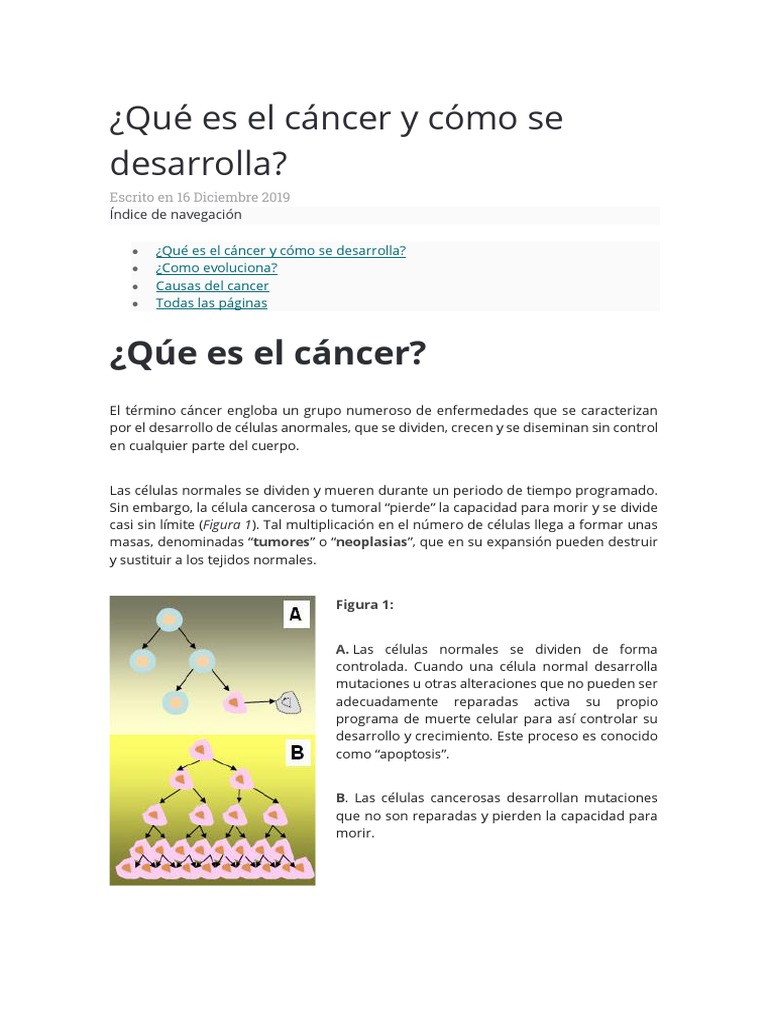 Qué Es El Cáncer y Cómo Se Desarrolla | PDF