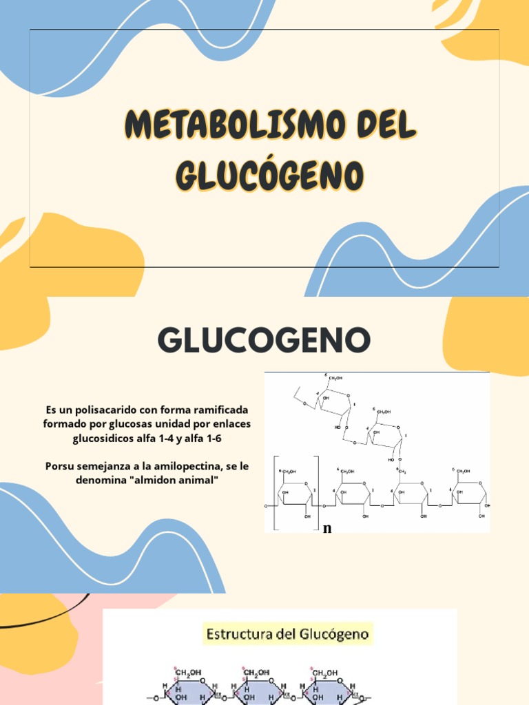 Presentación Metabolismo Del Glucógeno | PDF | Glucógeno | Nicotinamida ...