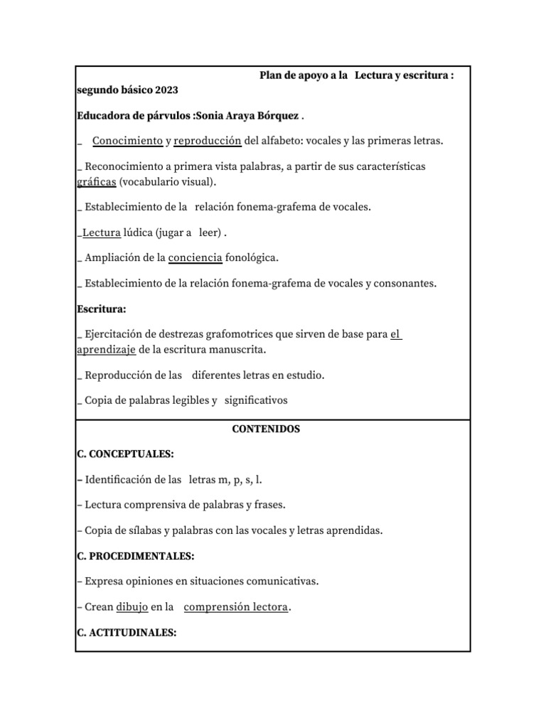 Plan de Apoyo A La Lectura y Escritura | PDF | Color | Escritura