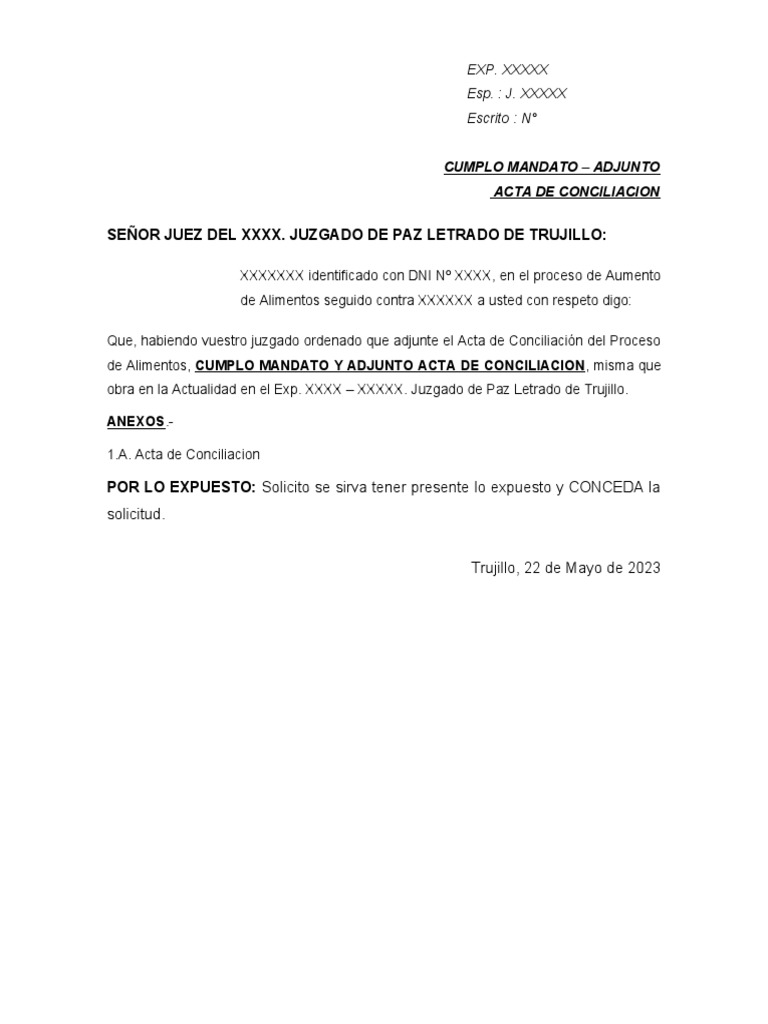 Modelo 5 Adjunto Acta de Conciliacion Yessica Ramirez | PDF