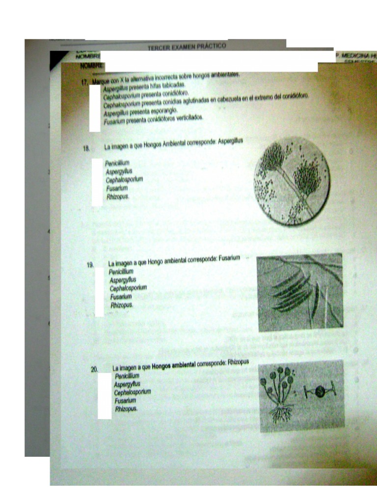 Ex Pract Micro Cap 3 y Claves | PDF