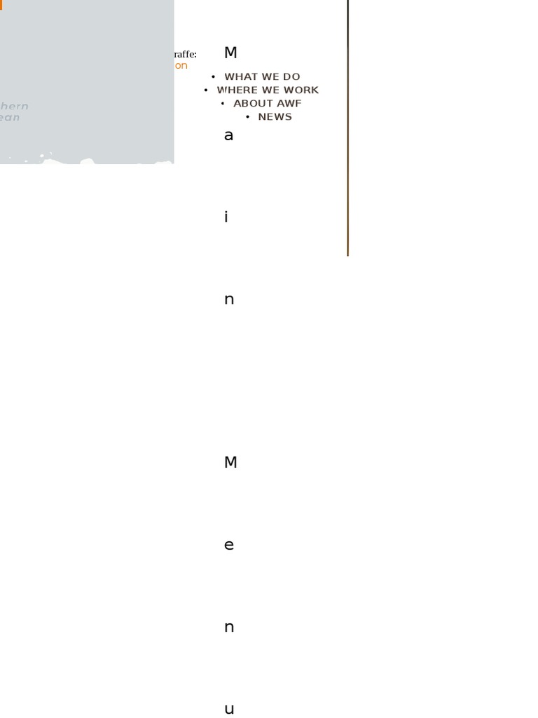 Giraffe Facts | PDF | Giraffe | Organisms