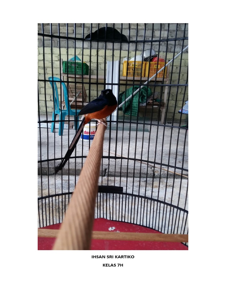 Ihsan Sri Kartiko Print Manuk | PDF