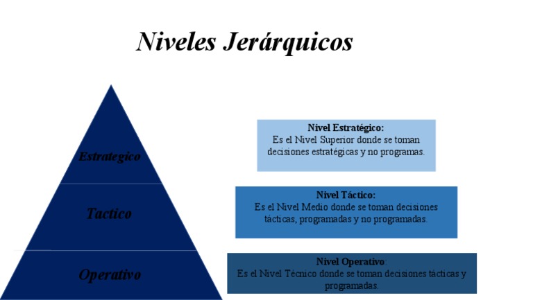 Niveles Jerarquicos | PDF