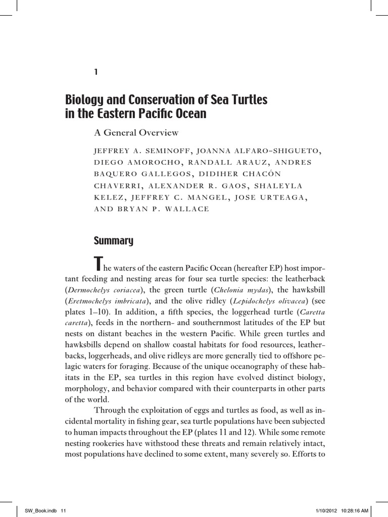 Biology and Conservation of Sea Turtles | PDF | Sea Turtle | Turtle