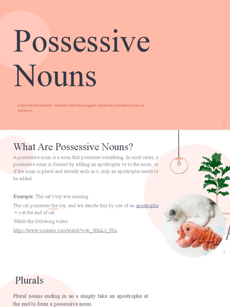 Understanding Possessive Nouns for Kids | PDF
