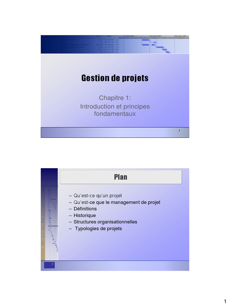 Introduction à la gestion de projet | PDF | Gestion de projet | Business