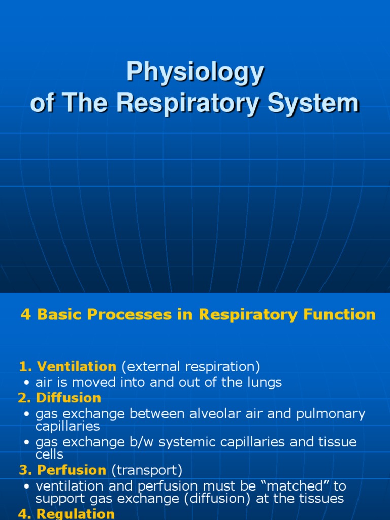 Respiratory Physiology II | PDF | Lung | Breathing