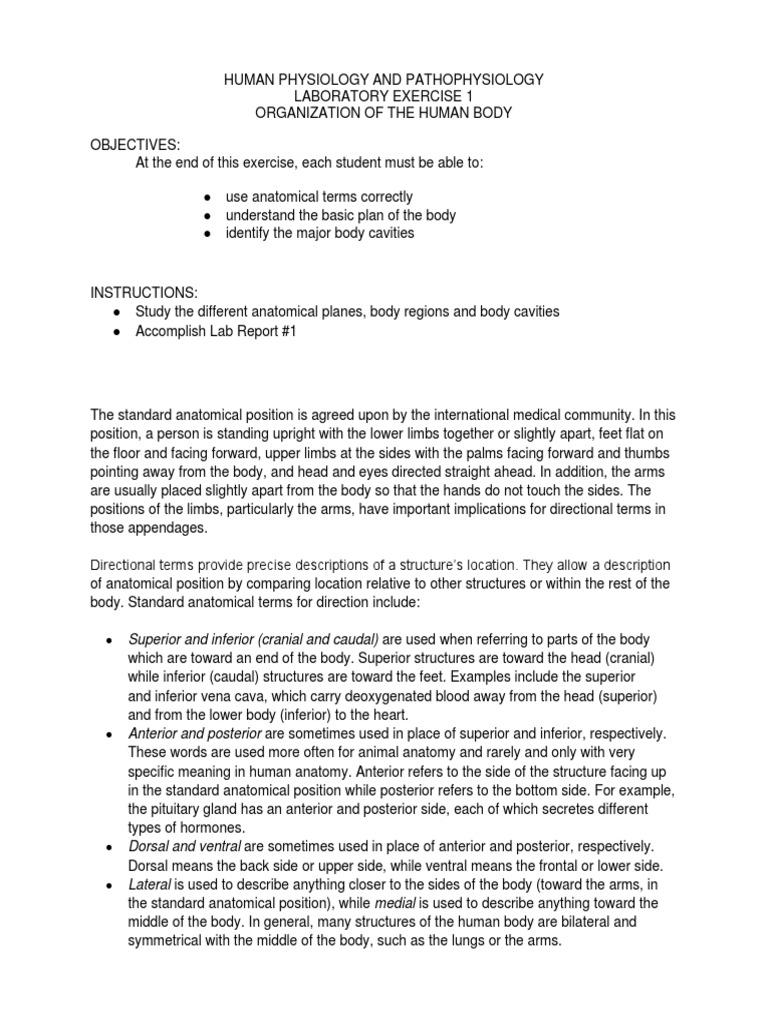 LAB EXERCISE 1 Organization of The Human Body - BS PSYCH 1 B 1 | PDF ...