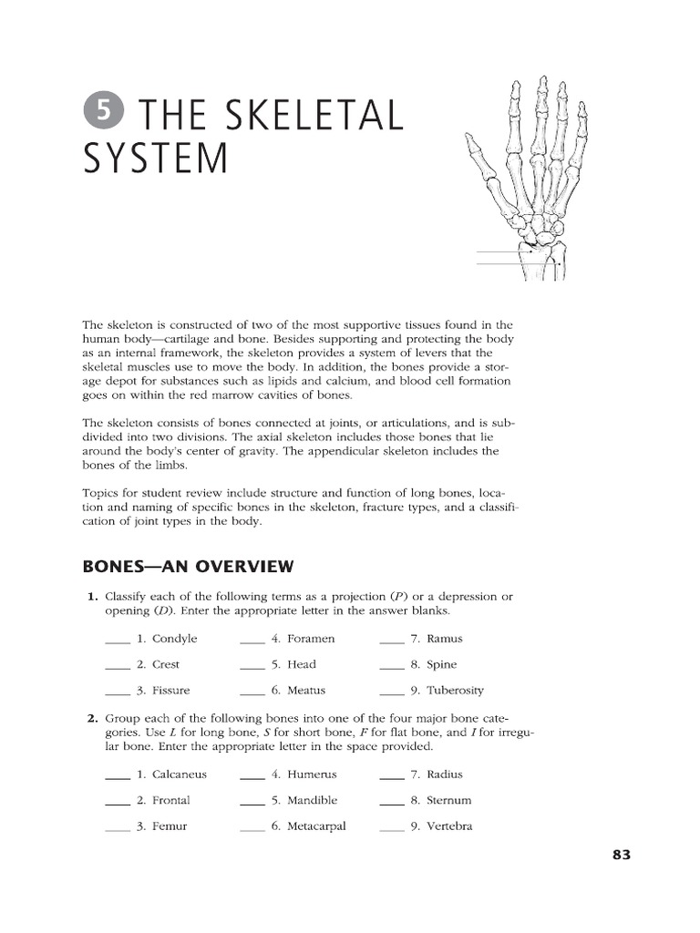 05anph111lb Skeletal System Pdf