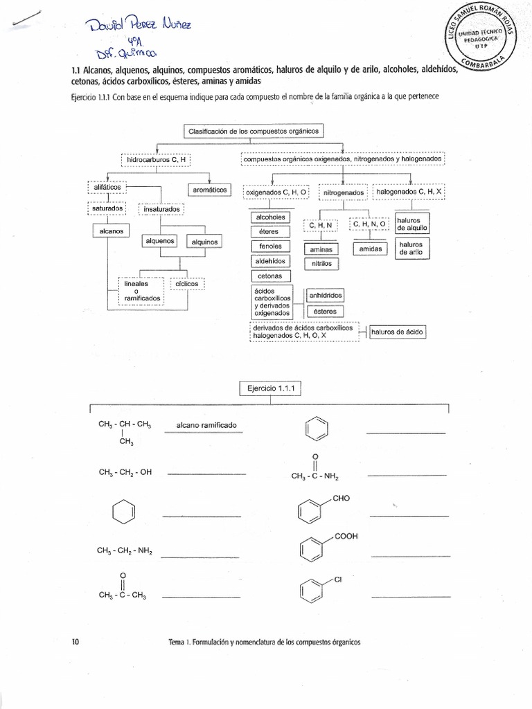Guía Química Orgánica | PDF