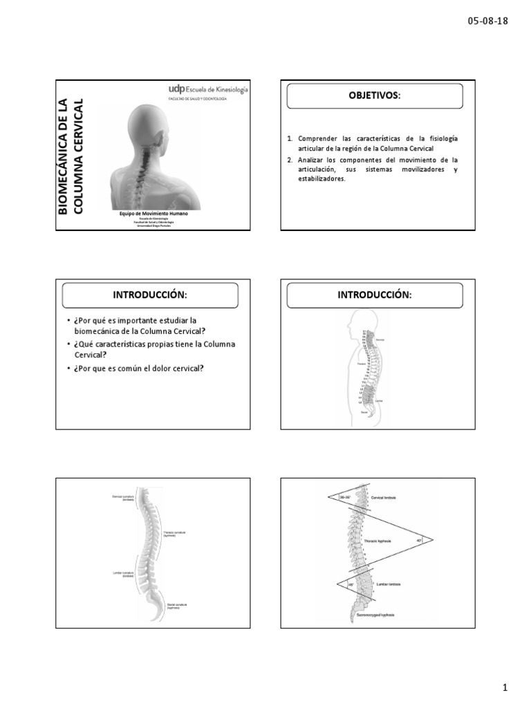 Biomecánica de la Columna Cervical | PDF | Articulación | La columna ...