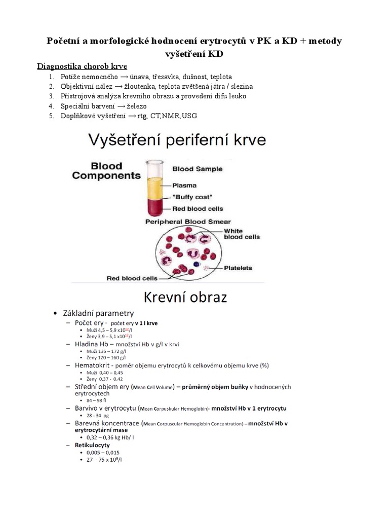 Patologie Ery - Hotovo | PDF