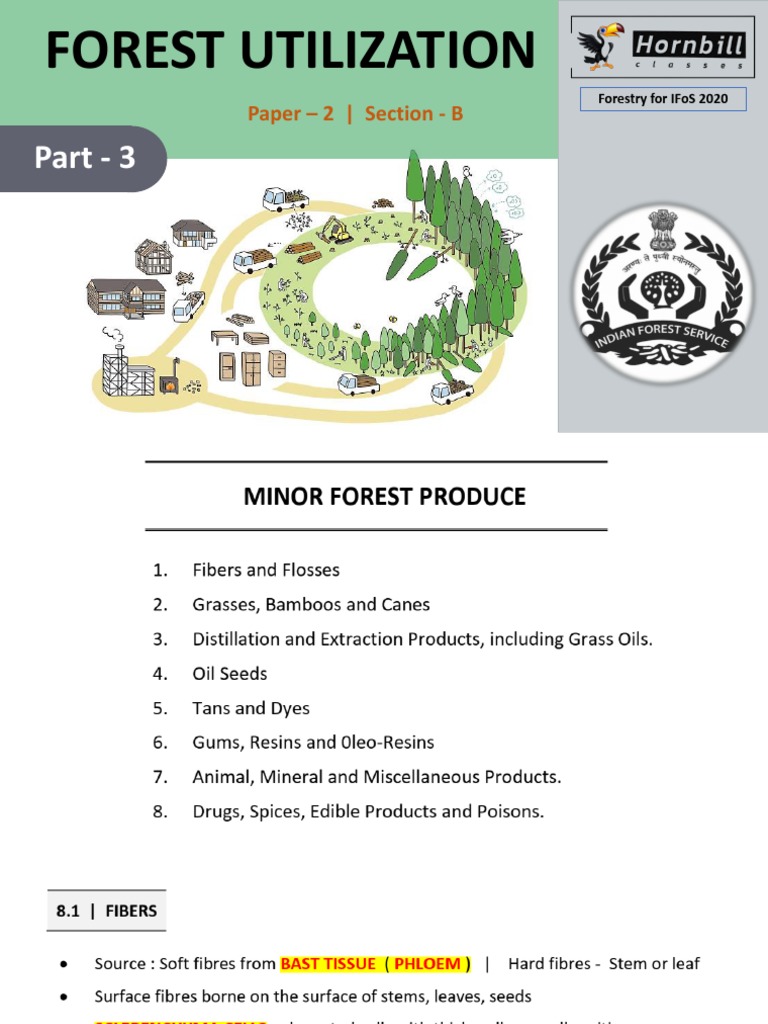 IFoS Forestry Utilization Guide | PDF