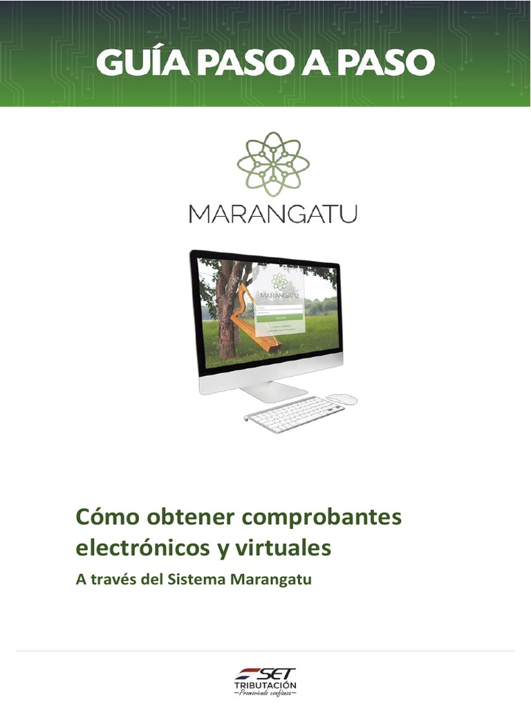 GuIa Paso A Paso - Como Obtener Comprobantes Electronicos y Virtuales ...
