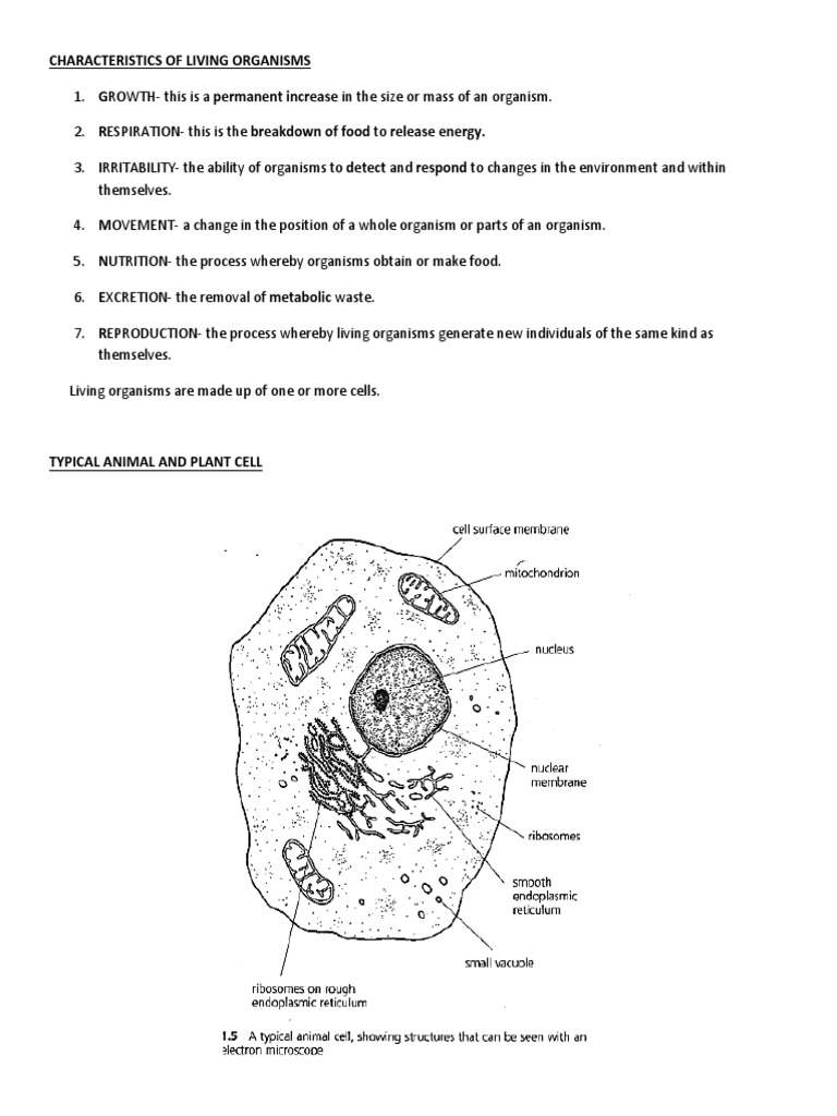 Biology Cells | PDF