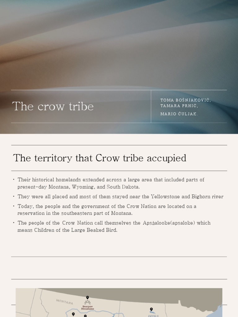 The Crow Tribe | PDF | Indigenous Peoples Of North America