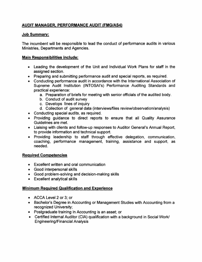Performance Audit Manager Role | PDF