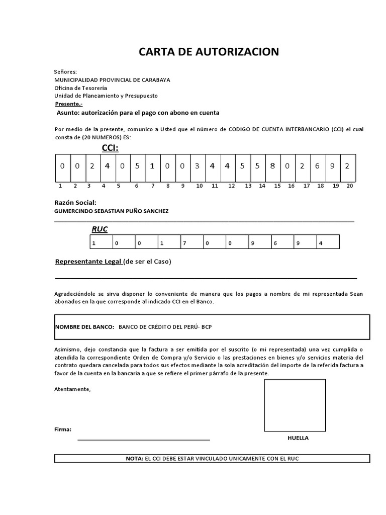 Carta Cci Ayapata Blanco | PDF