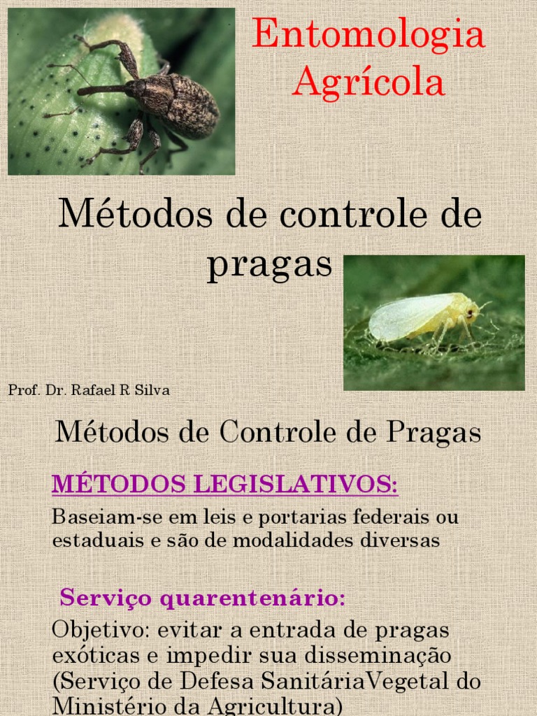 Métodos de Controle de Pragas Agrícolas | PDF | Agricultura | Insetos