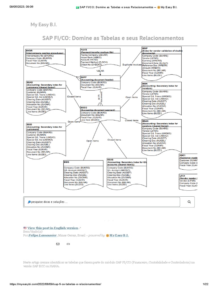 SAP FI - CO - Tabelas e Seus Relacionamentos | PDF | Contabilidade ...