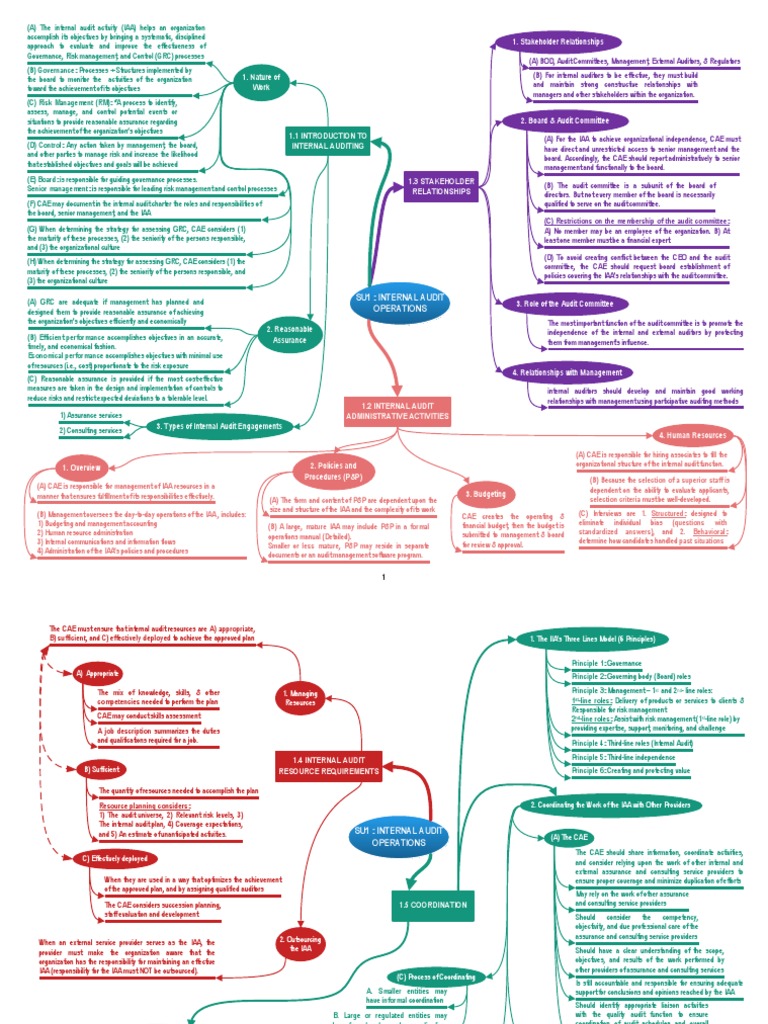 Internal Audit Operations Overview | PDF