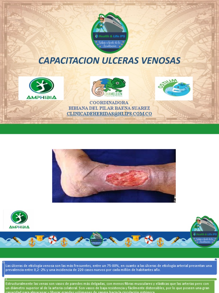 Ulceras Venosas-Hl Site | PDF
