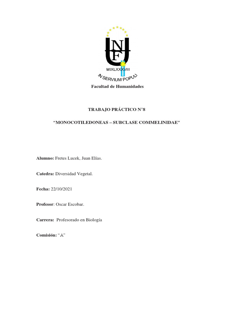 Monocotiledóneas: Subclase Commelinidae | PDF | Estudios de idiomas ...
