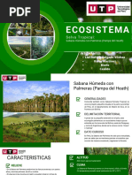 Ficha de Trabajo - Sabana Humeda Con Palmeras | PDF | Ecosistema | Sabana