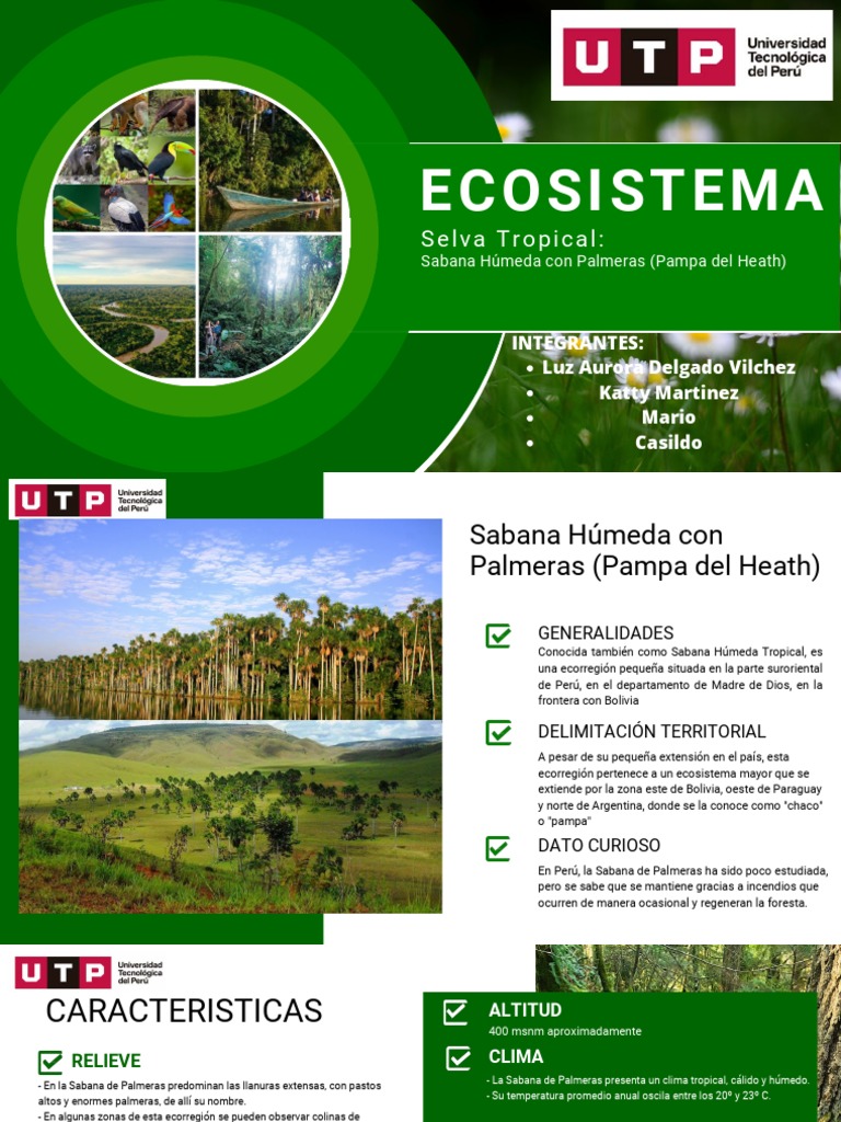 ECOSISTEMA | PDF