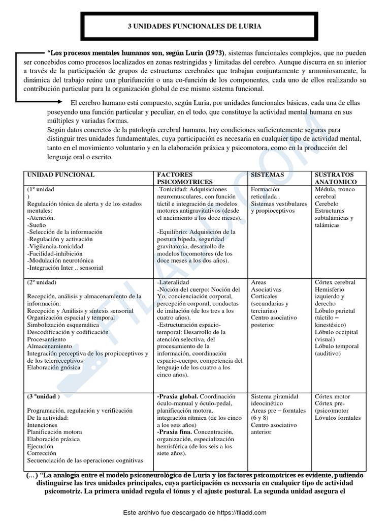 3 Unidades Funcionales de Luria | PDF | Corteza cerebral | Lóbulo temporal
