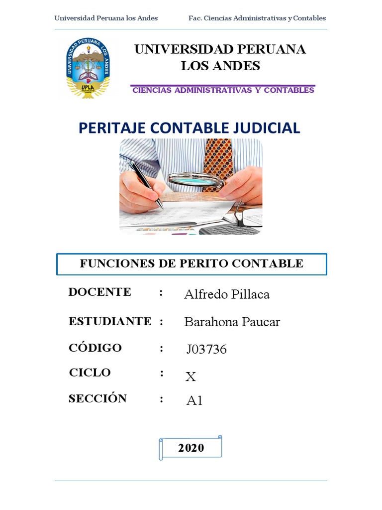 FUNCIONES PERITO CONTABLE | PDF | Testigo experto | Contador