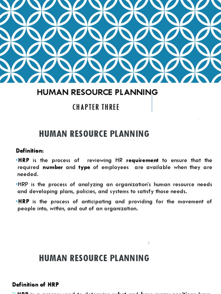 Chapter 3 - Human Resource Planning | PDF