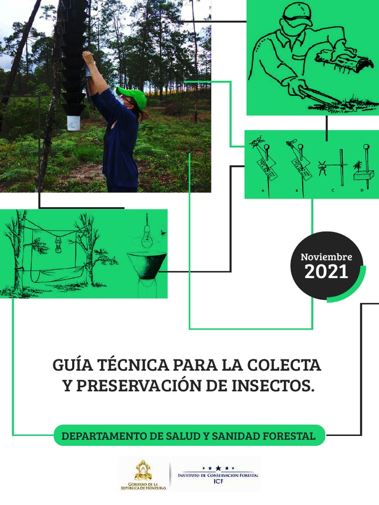Guia Tecnica para Colecta y Preservacion de Insectos V Final | PDF | Insectos | Taxonomía (biología)