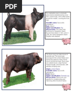 Breeds, Varieties and Strains of Poultry | PDF | Chicken | Poultry