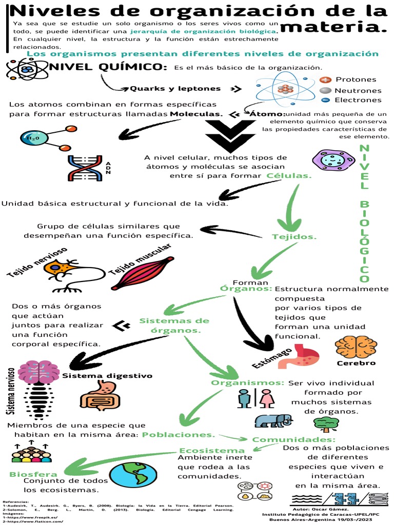 Infografía | PDF | Organismos | Química