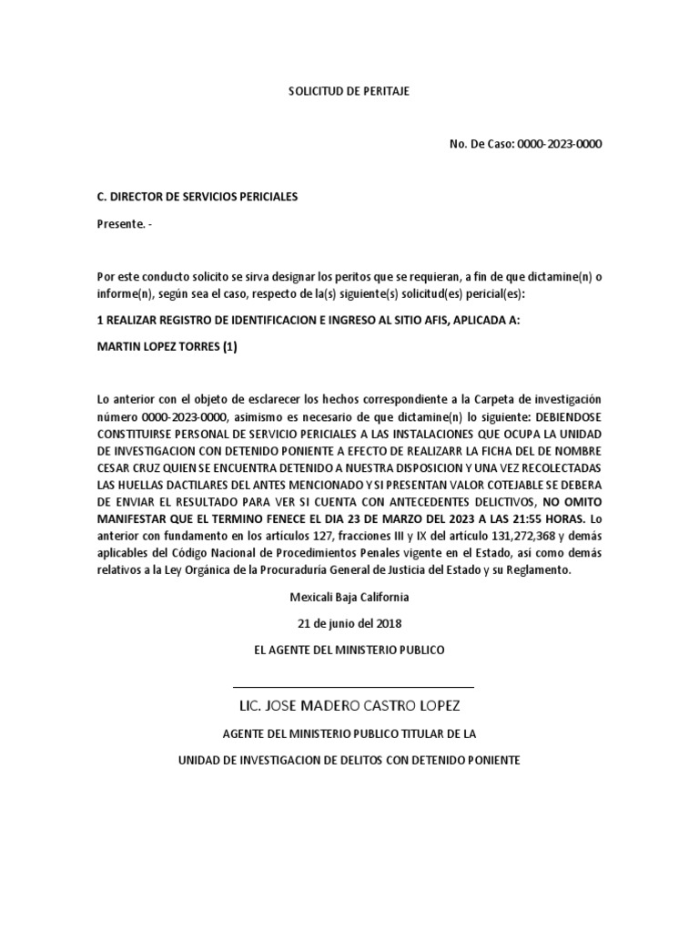 Solicitud de Peritaje | PDF