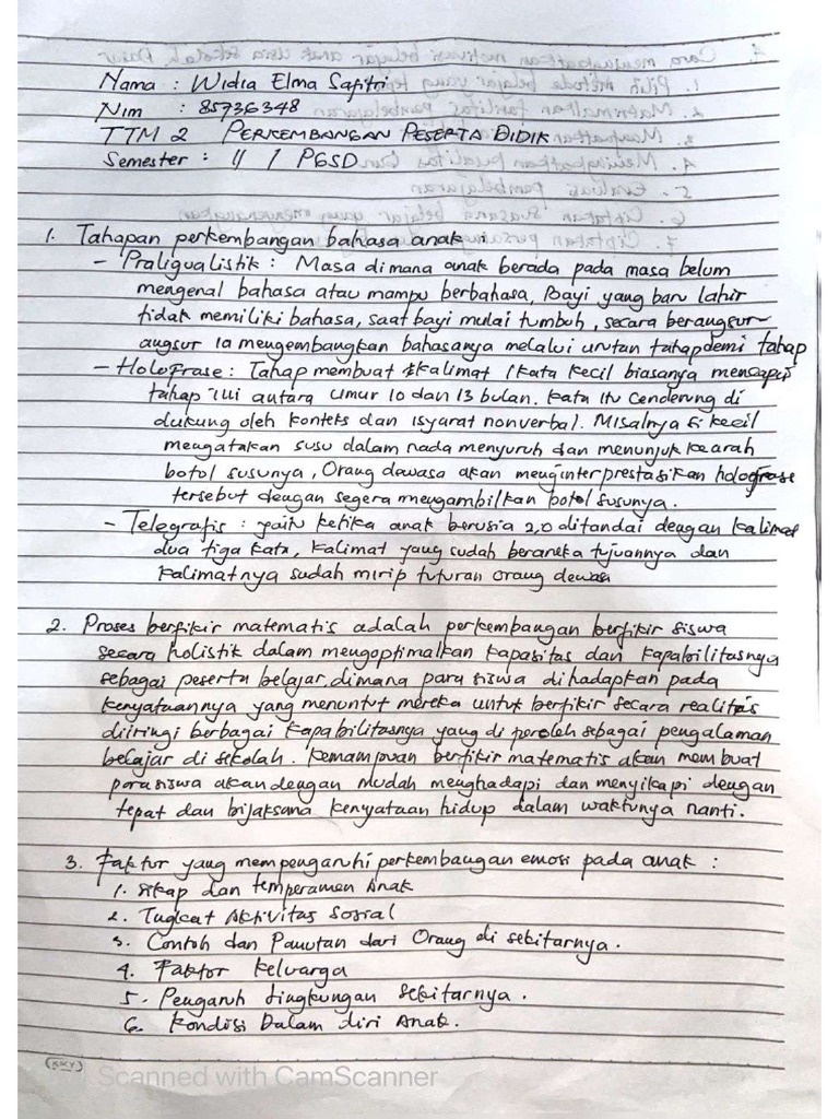 TTM 2 Widia Elma Safitri | PDF