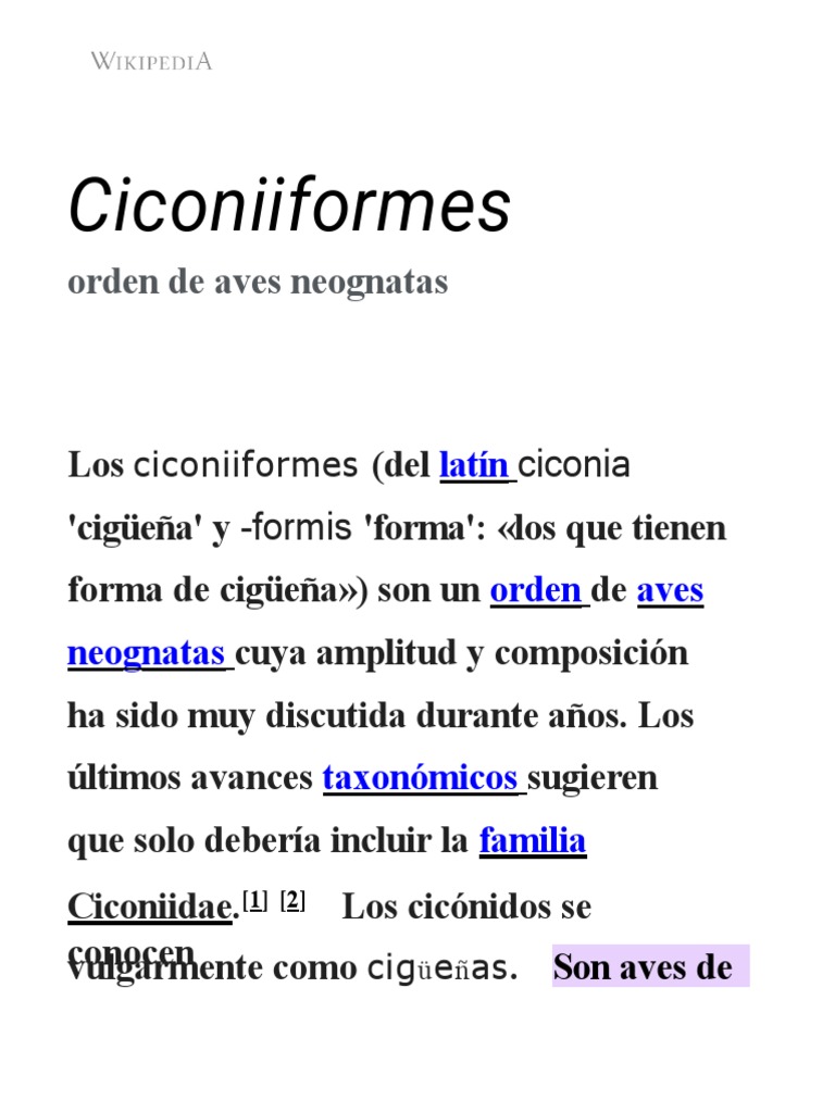 Ciconiiformes: Orden de Cigüeñas | PDF | Aves | Neognathae