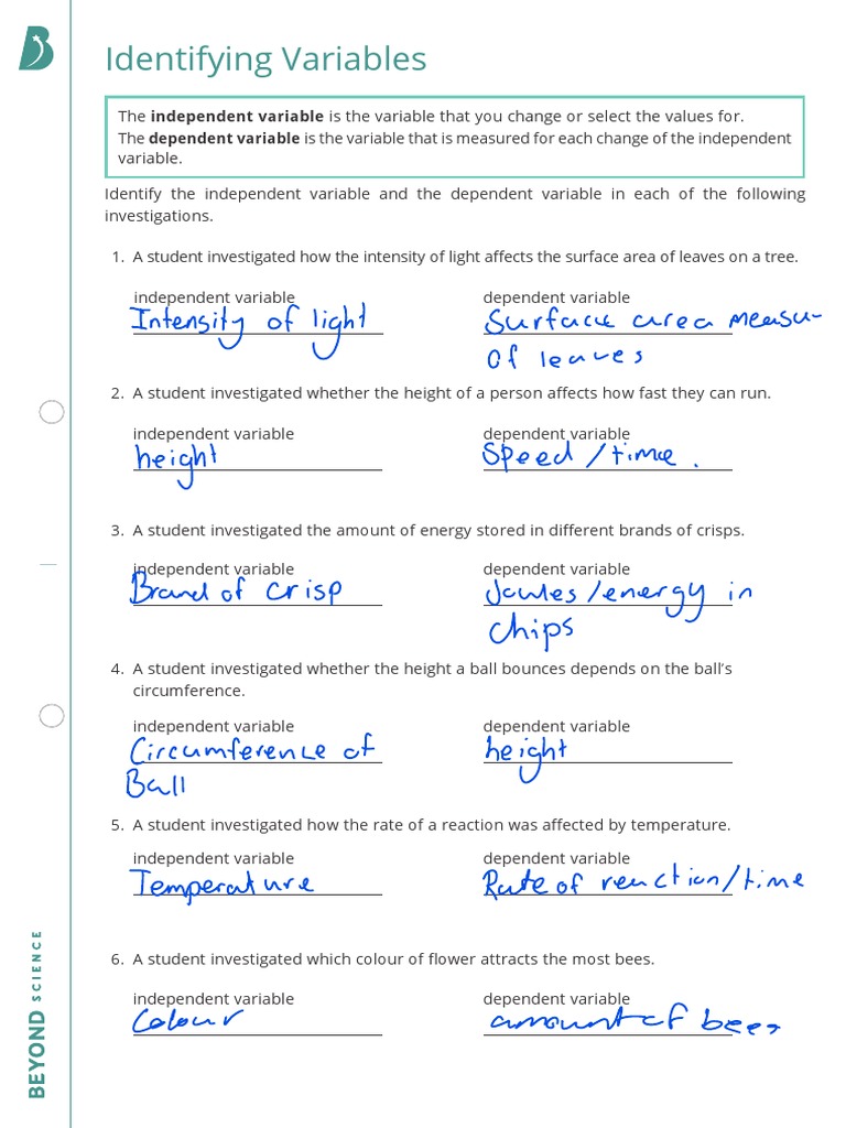 Identifying Variables Worksheet | PDF