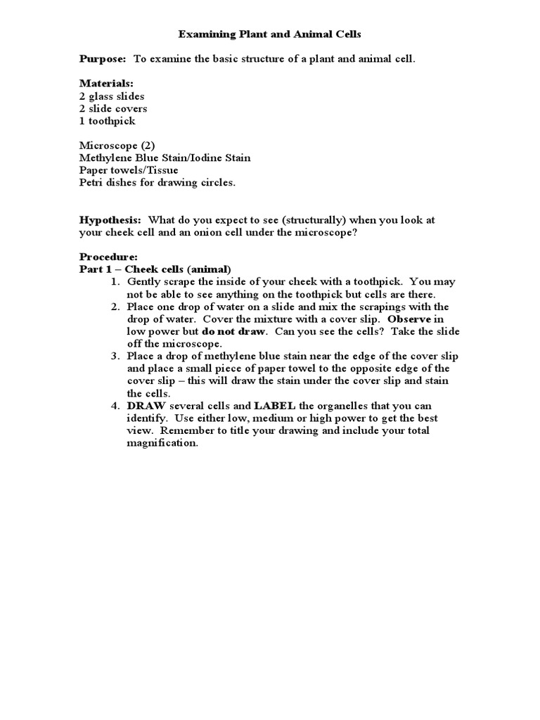 Examining Plant and Animal Cells Lab | PDF