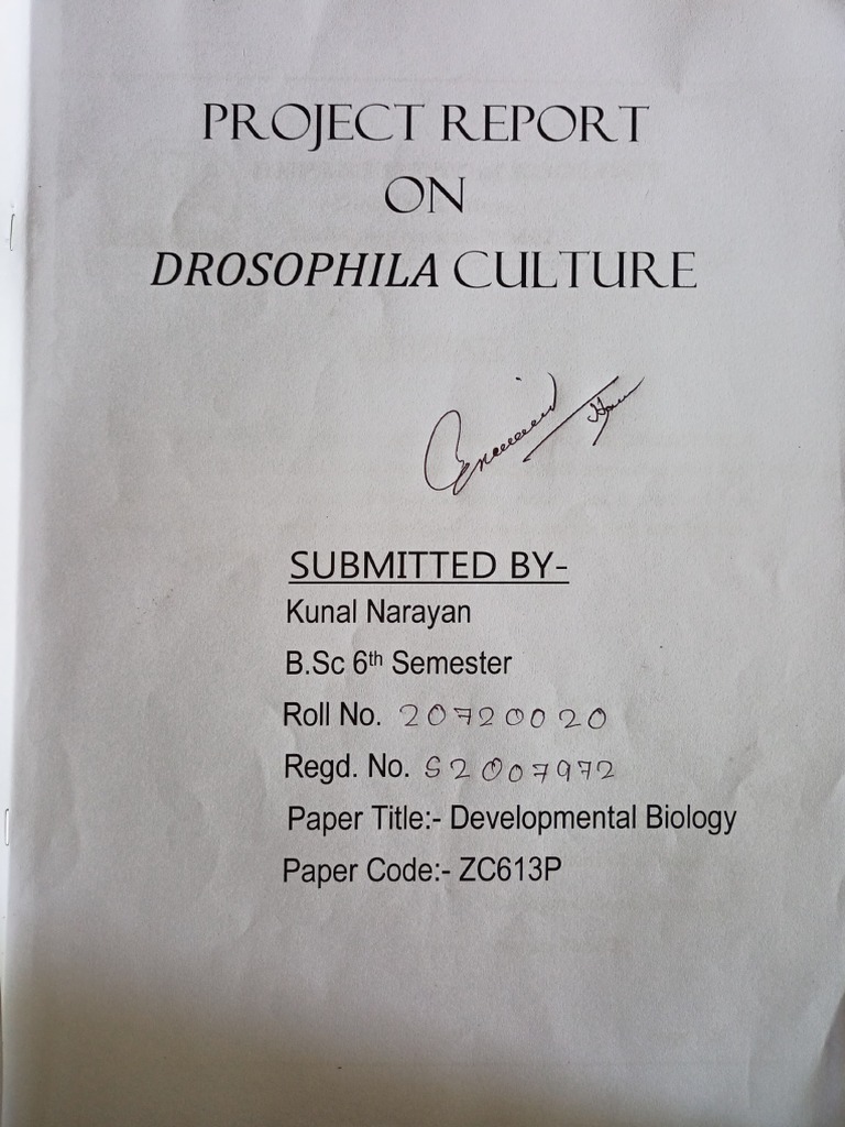 Kunal Narayan 6th Sem | PDF | Drosophila Melanogaster | Pupa