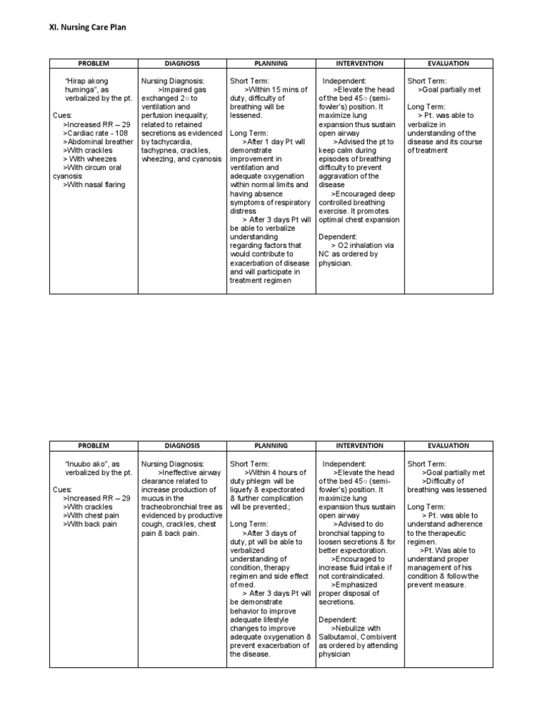 Nursing Care Plan for COPD Patients | PDF | Breathing | Respiratory Tract
