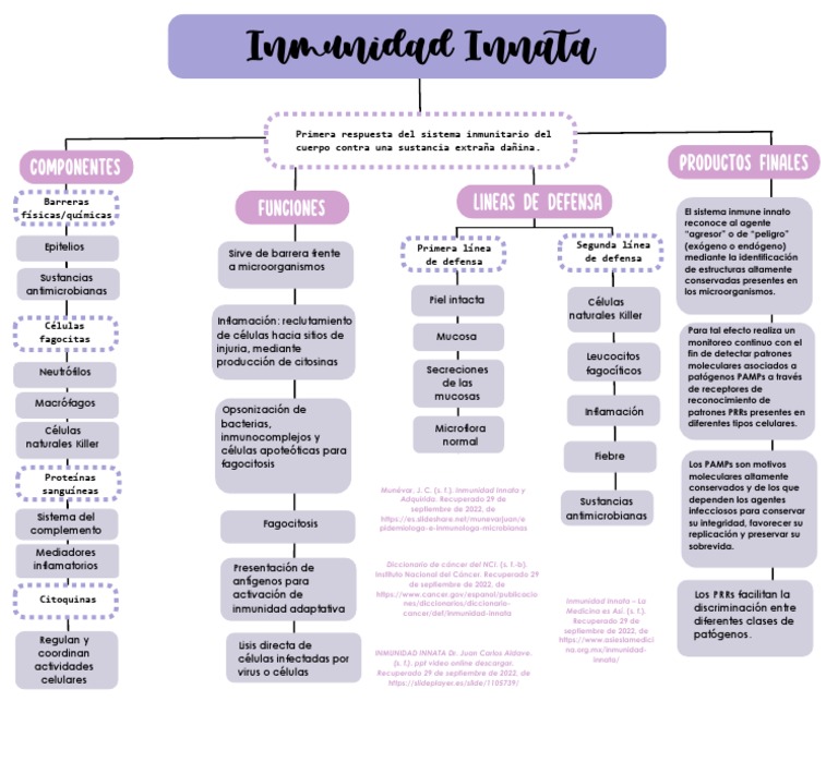 Mapa Conceptual-Inmunidad Innata | PDF | Sistema inmune innato ...