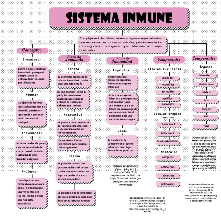 Mapa Conceptual del Sistema Inmunológico | PDF