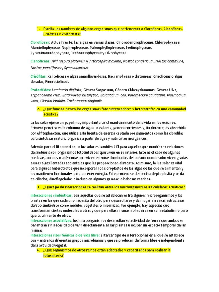 Cuestionario Practica 10 | PDF | Algas | Plantas