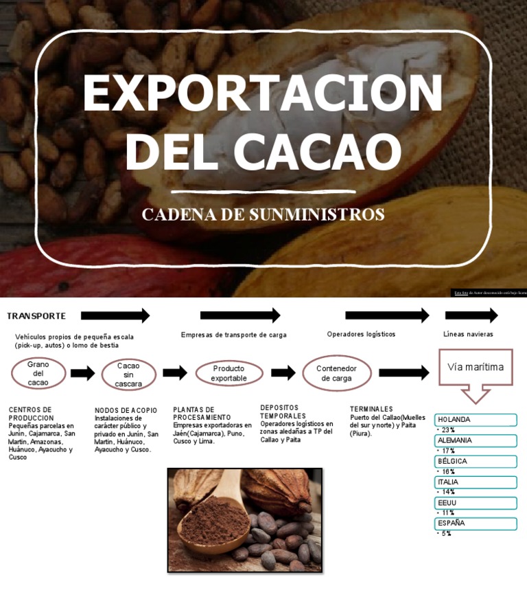 Exportacion Del Cacao | PDF | Transporte | Economias