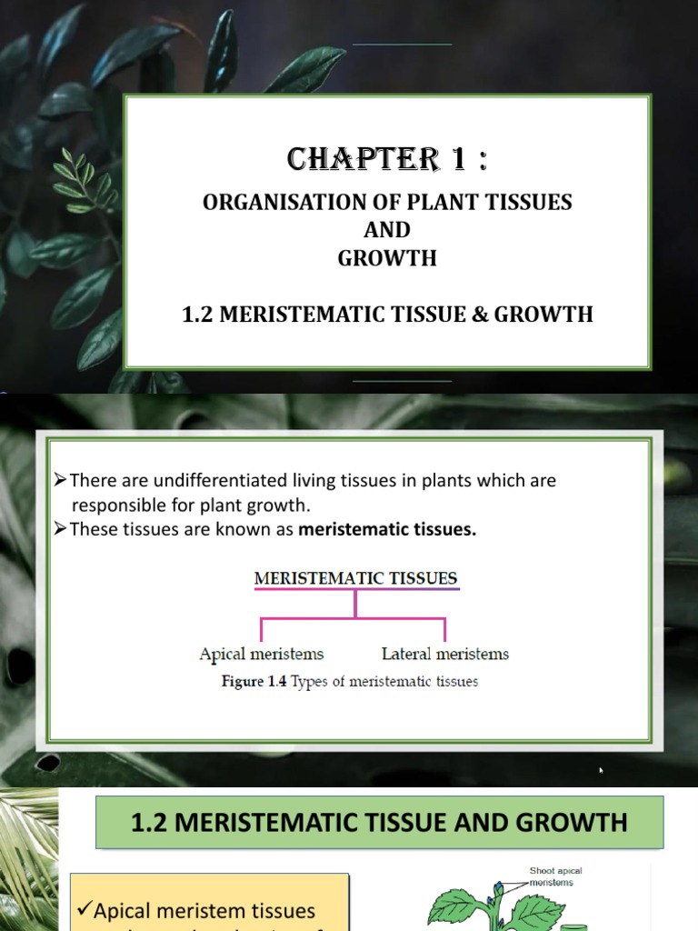 KSSM F5 BIO CH 1.2 DLP | PDF